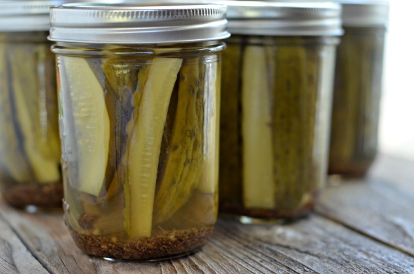 Perfect Dill Pickles - Mountain Mama Cooks