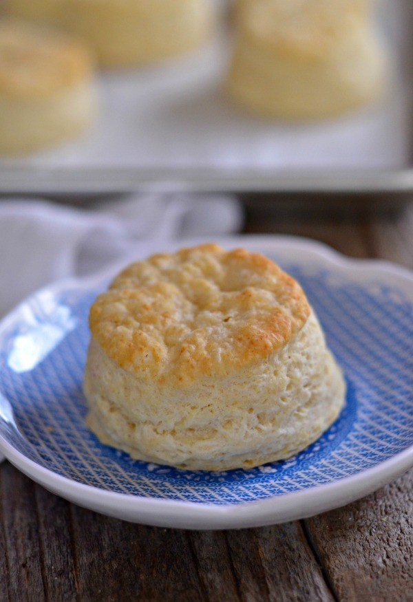 Perfect High Altitude Biscuit Recipe - Mountain Mama Cooks