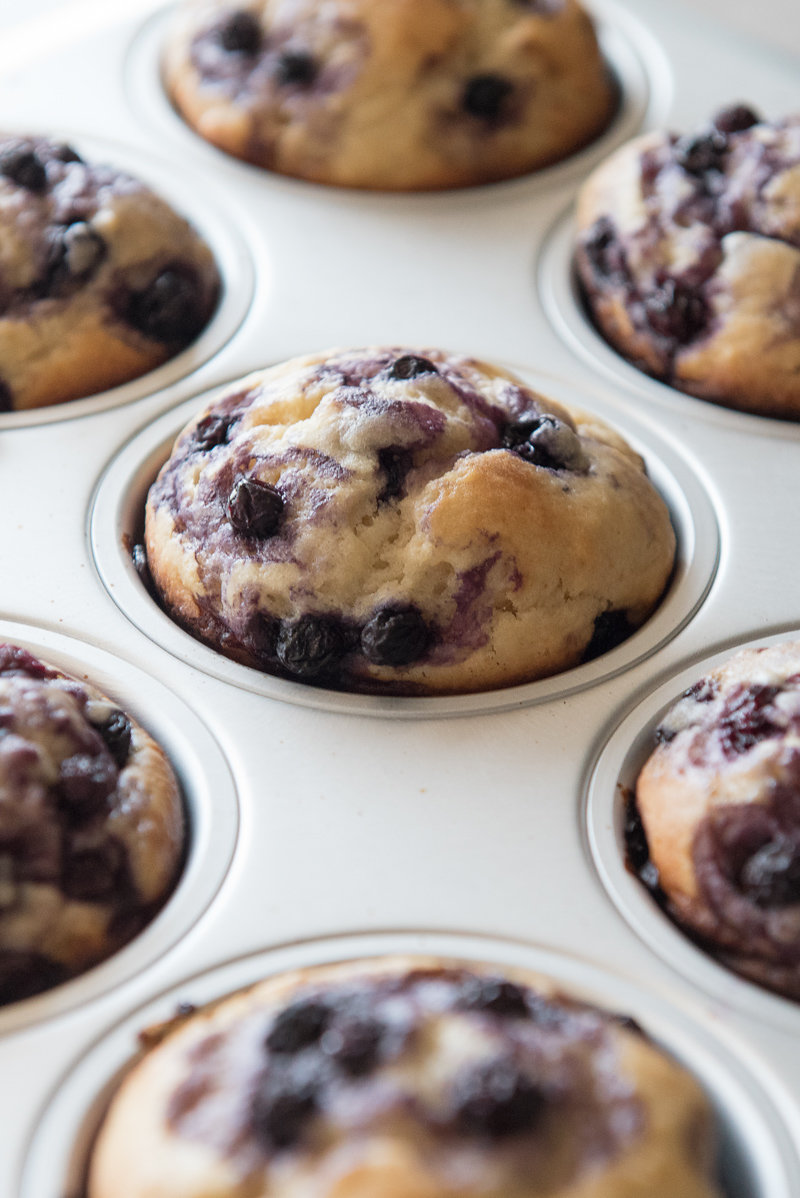 High Altitude Blueberry Muffin Recipe - Mountain Mama Cooks